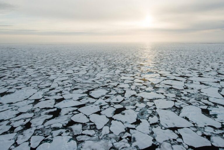 Vanishing Under the Ice: The Urgent Need to Protect the Arctic’s Hidden ...